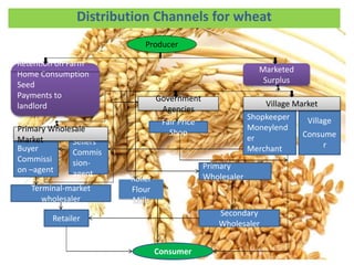 Distribution channels involved in agribusiness | PPT