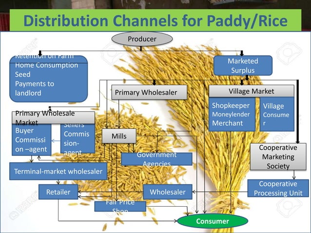 Distribution channels involved in agribusiness | PPT