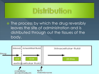 Pharmacokinetics : Drug Distribution -Dr Rahul Kunkulol's Power point ...