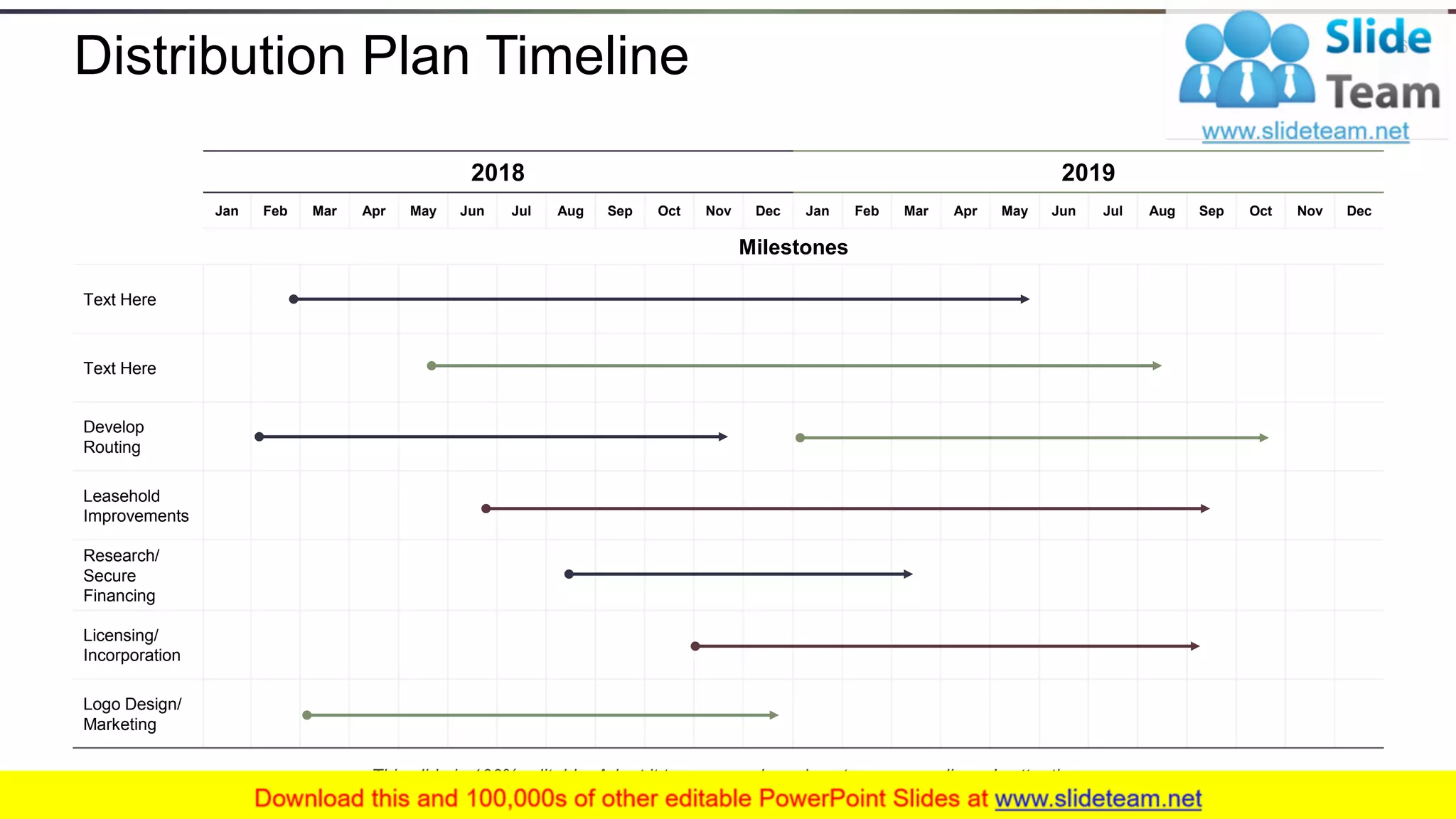 Distribution Management Strategy PowerPoint Presentation Slides | PDF