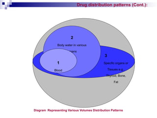 Distribution, Metabolism and Excretion-1.pptx