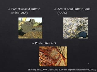 Distribution of acid sulphate soils and their management | PPTX