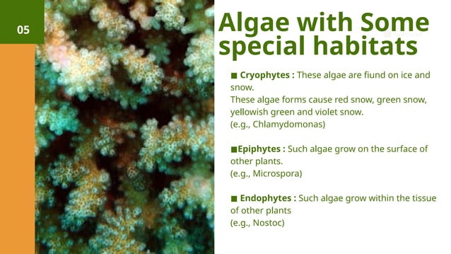 Distribution of Algae_20240910_051943_0000.pptx