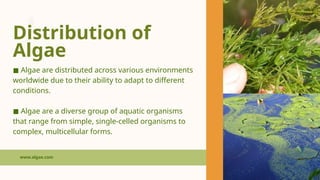 Distribution of Algae_20240910_051943_0000.pptx
