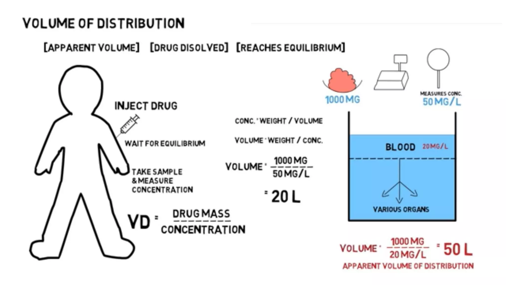 Distribution of drugs Pharmacokinetics | PDF