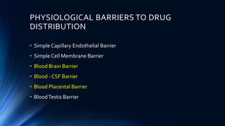 Distribution of drugs Pharmacokinetics | PDF