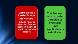 Distribution of drugs Pharmacokinetics | PDF