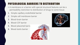 Distribution of drugs final ppt | PPTX | Chemistry | Science