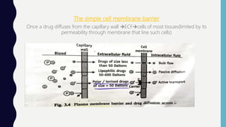 Distribution of drugs final ppt | PPTX