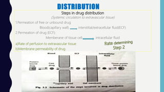 Distribution of drugs final ppt | PPTX | Chemistry | Science