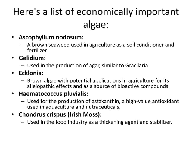Distribution of Economically Important Algae in India | PPTX ...