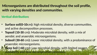 Distribution of microorganisms in soil ..pptx