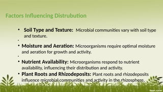 Distribution of microorganisms in soil ..pptx