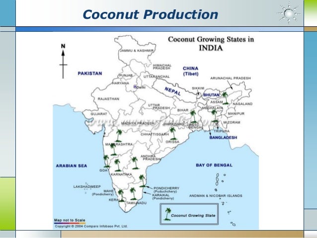 Distribution of tender coconut in mumbai
