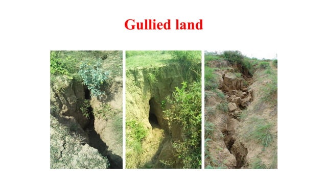 Distribution of wasteland and problem soils | PDF | Agriculture | Industries