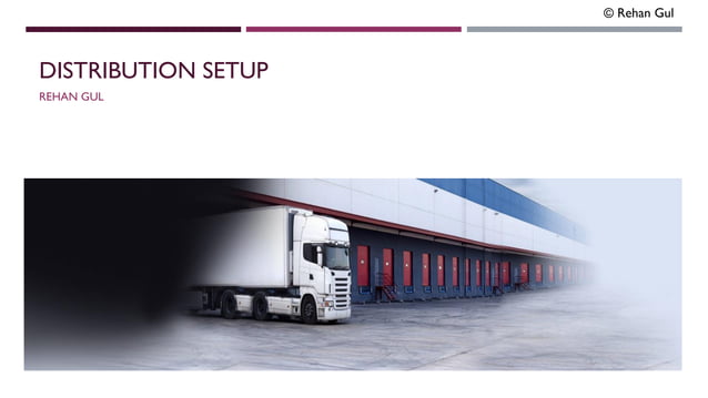 Distribution Setup.pdf | Pharmaceutical Industry | Industries