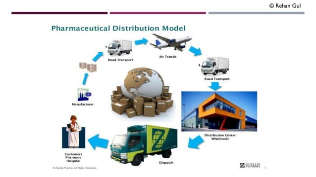 Distribution Setup.pdf | Pharmaceutical Industry | Industries