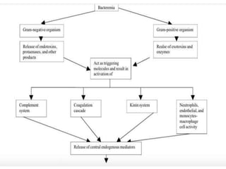 Distributive shock | PPTX
