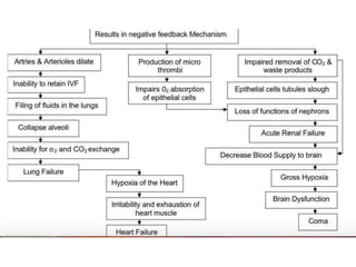 Distributive shock | PPTX
