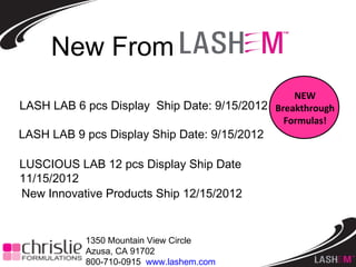 Distributor lashem | PPT