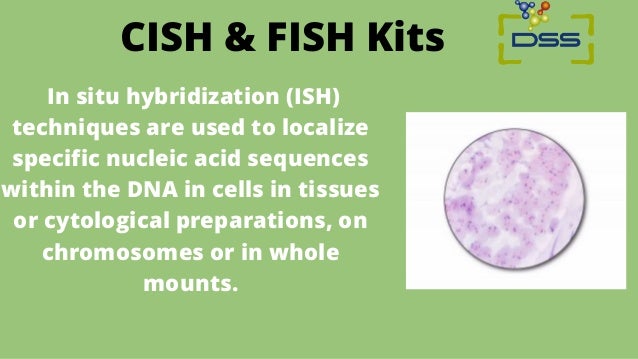 Distributors of Probes in India.pdf