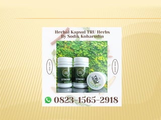 Distributor tru herbs cp 0823 1565-2918 obat herbal buat kista coklat ...