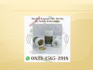 Distributor tru herbs cp 0823 1565-2918 obat herbal buat kista coklat tanaman anti kolesterol di ...
