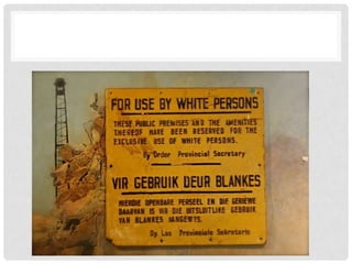 District 9 Film Study - Context + Theme | PPTX