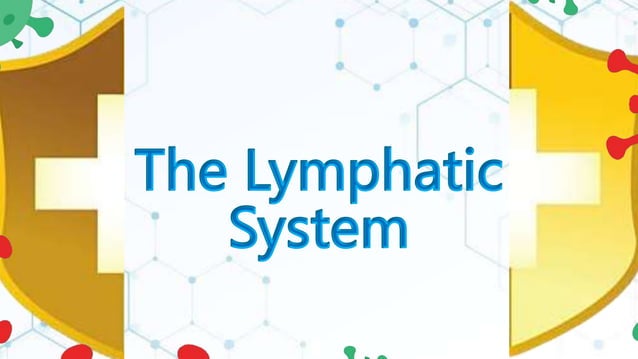 Lymphatic System PPT.pptx