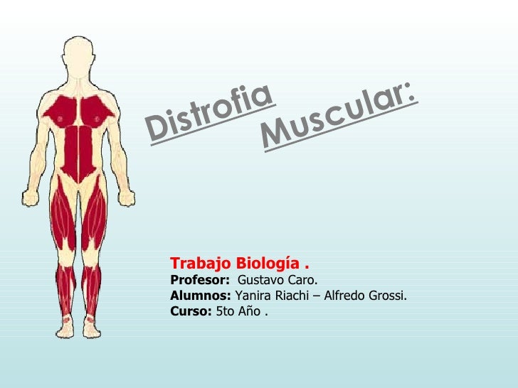 Salir Con Alguien Con Distrofia Muscular - como pedir cita en la ...