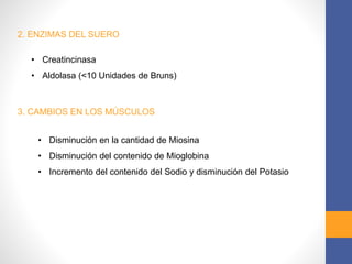 Distrofia muscular | PPTX