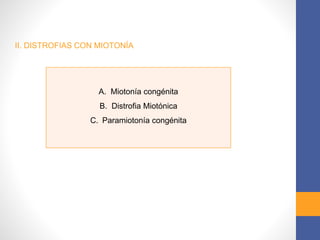 Distrofia muscular | PPTX