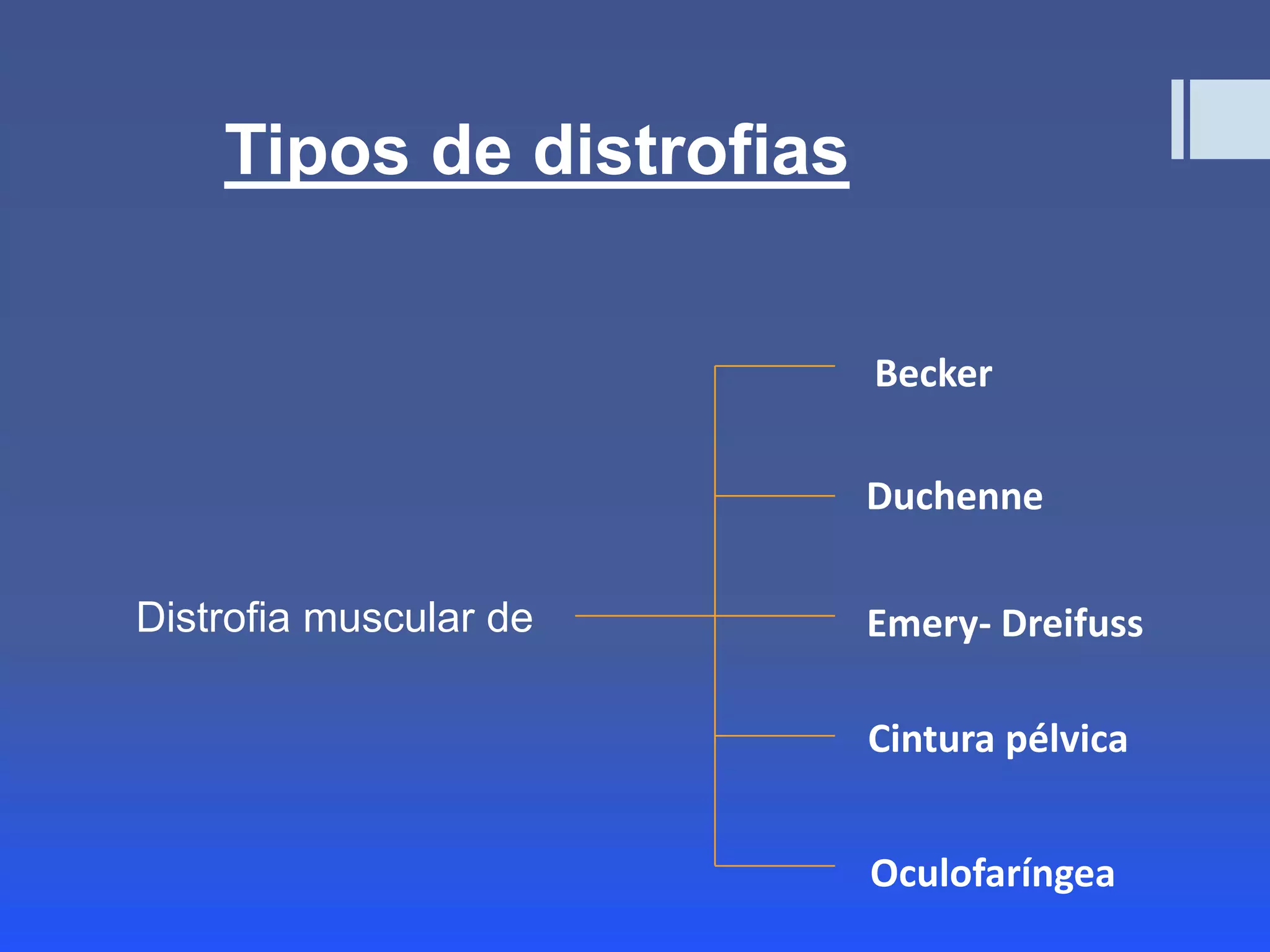 Distrofia muscular | PPT