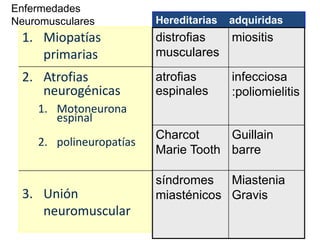 Distrofias Musculares: Aspectos clínicos y de patogenia | PPTX