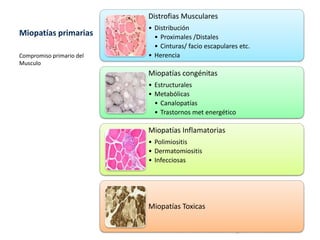 Distrofias Musculares: Aspectos clínicos y de patogenia | PPTX