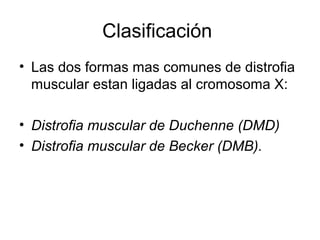 Distrofias musculares | PPT