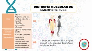 DISTROFIAS MUSCULARES.pptx