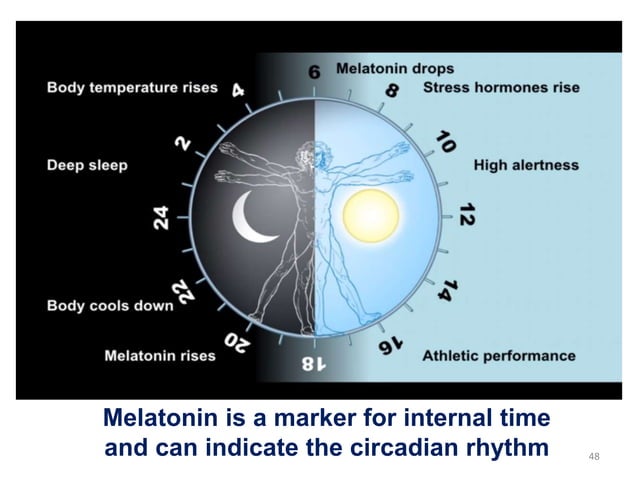 Disturbance of circadian rhythm and its effect on health | PPTX | Islam | Religion & Spirituality