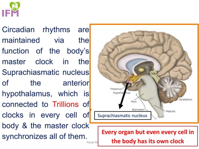 Disturbance of circadian rhythm and its effect on health | PPTX | Islam | Religion & Spirituality