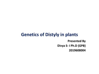 Distyly- Genetics of Distyly in plants | PPTX