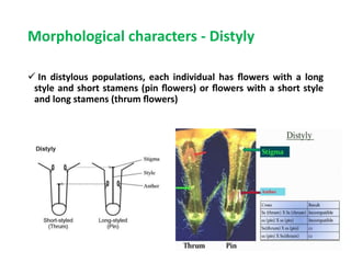 Distyly- Genetics of Distyly in plants | PPTX