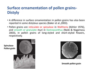 Distyly- Genetics of Distyly in plants | PPTX