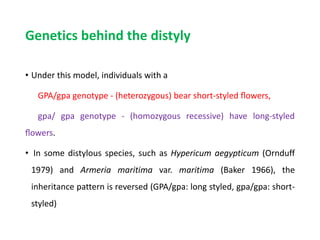 Distyly- Genetics of Distyly in plants | PPTX