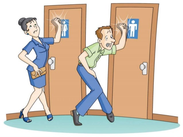 vejiga urinaria on emaze