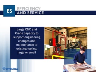 Ditemsa company profile | PPT