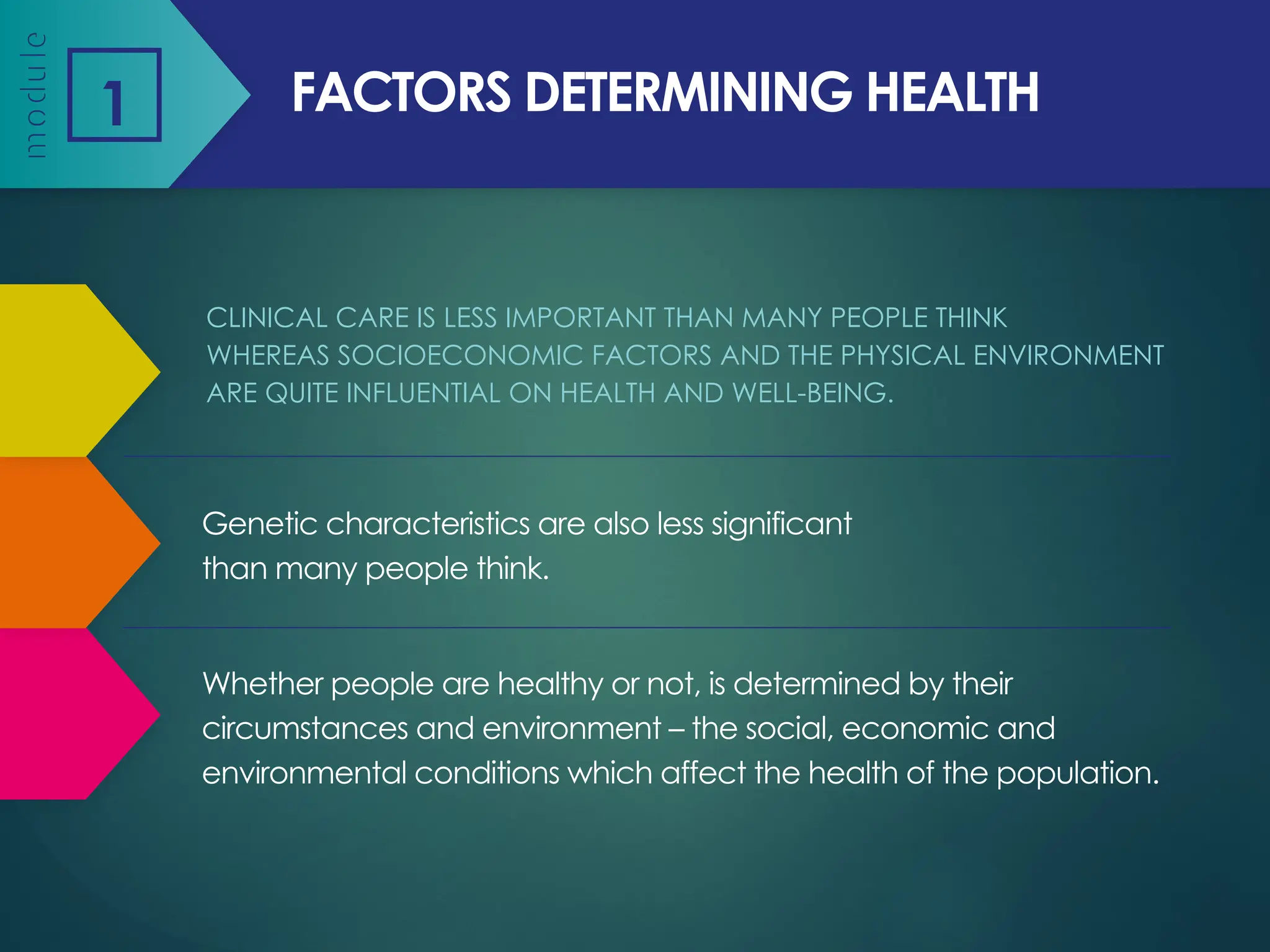 Topic: 4 The Determinants of Health complete | PPTX