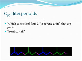 diterpenoid.ppt