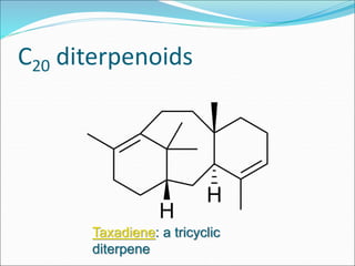 diterpenoid.ppt