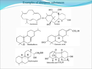 diterpenoid.ppt