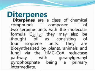 diterpenoid.ppt